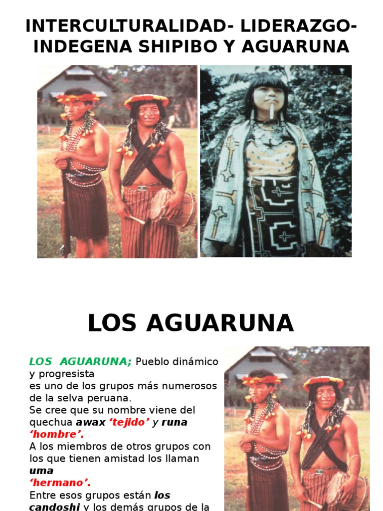 Los Aguaruna y Shipivos | PDF | río Amazonas | Gente indígena