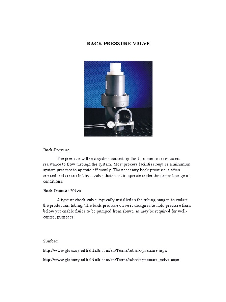 Back-Pressure Valve | PDF