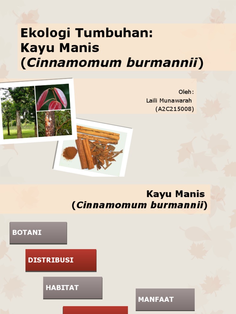 Kayu Manis | PDF