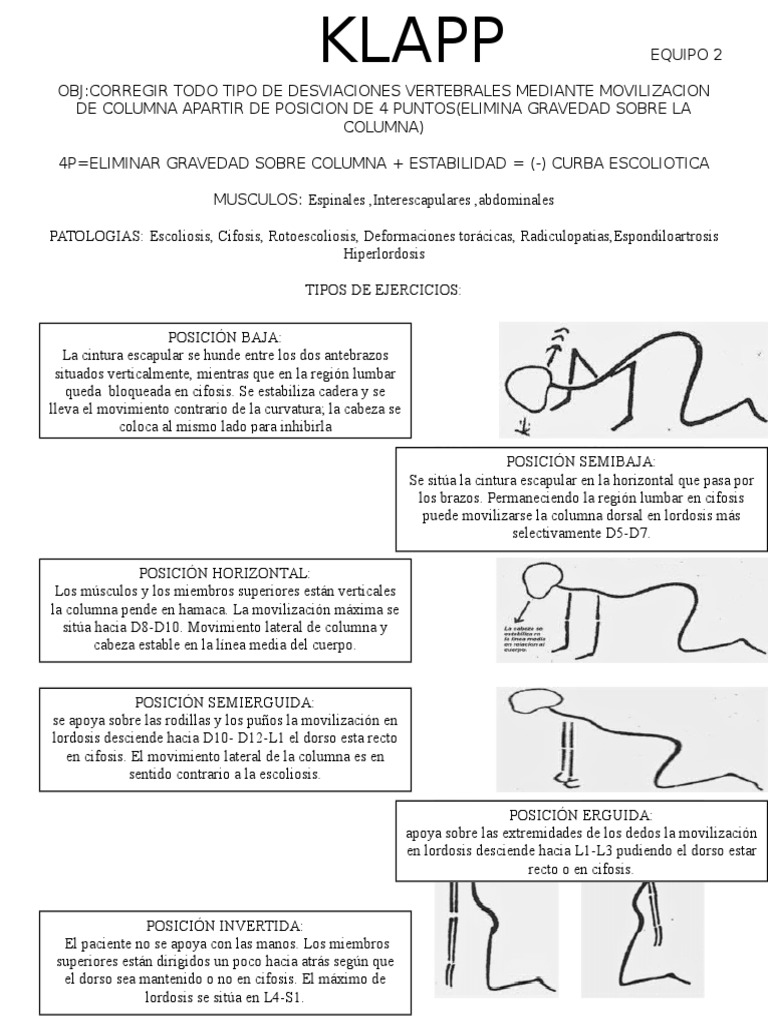 EJERCICIOS Klapp | PDF