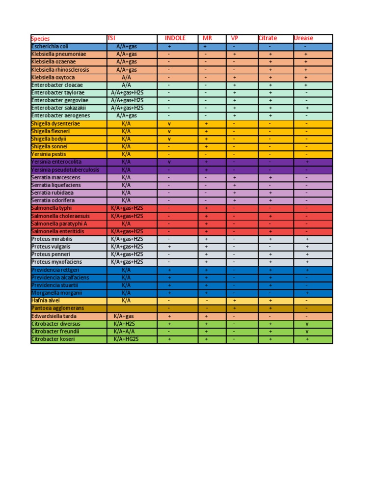 TSI Indole MR VP Citrate Urease: Species | PDF