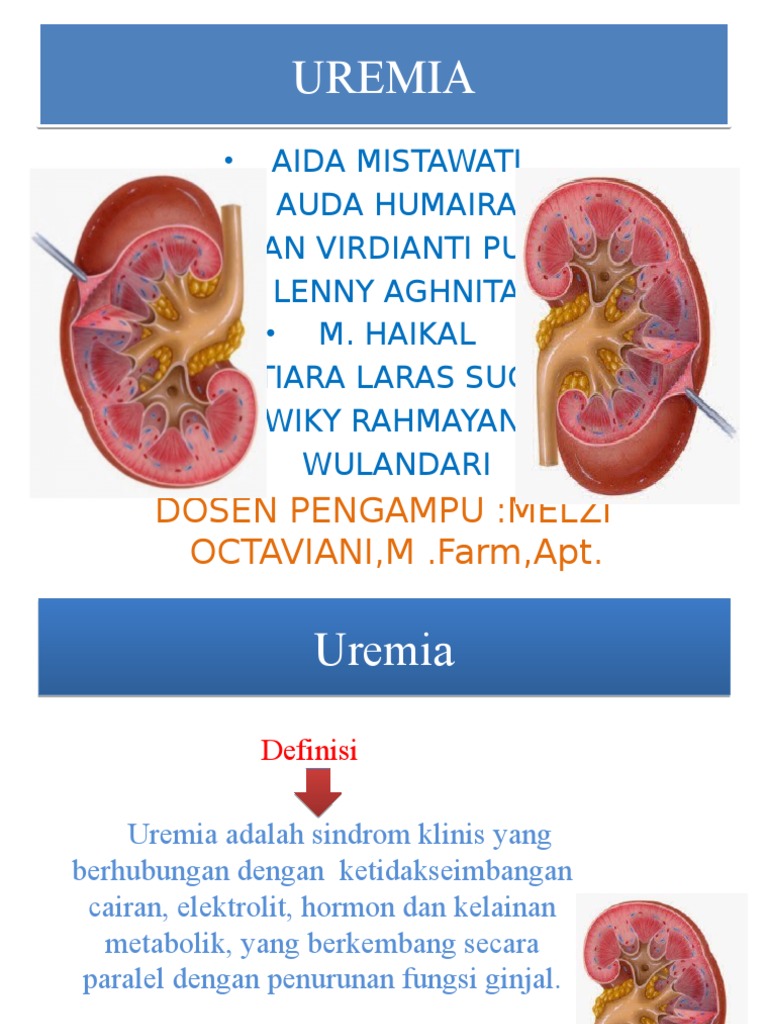 Uremia | PDF