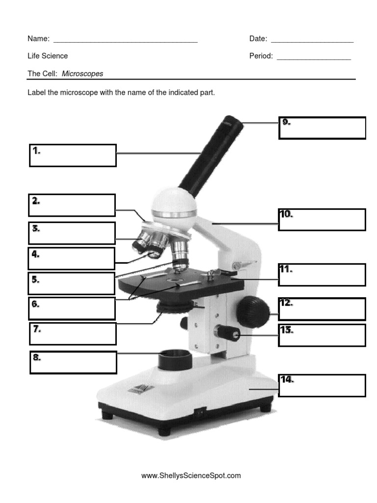 Label The Microscope | PDF