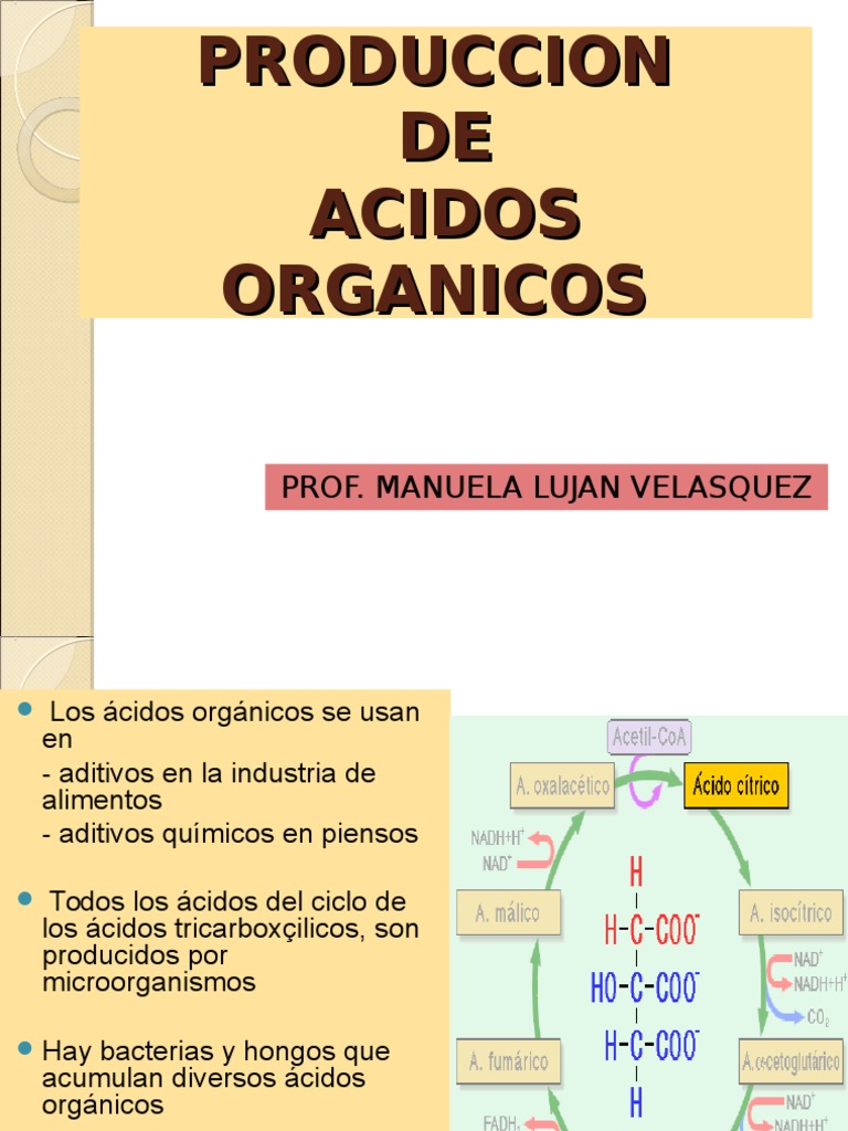 PRODUCCION de Acidos Organicos | PDF | Fermentación | Alimentos