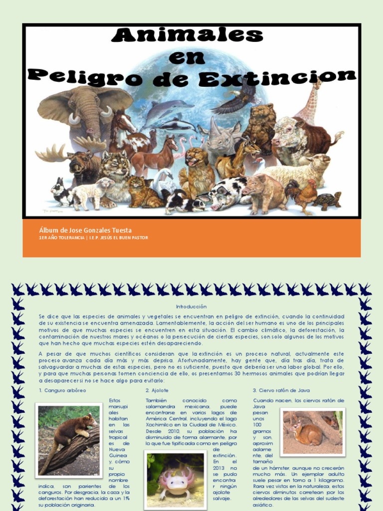 Álbum de Animales en Peligro de Extinción | PDF | Extinción | Gatos
