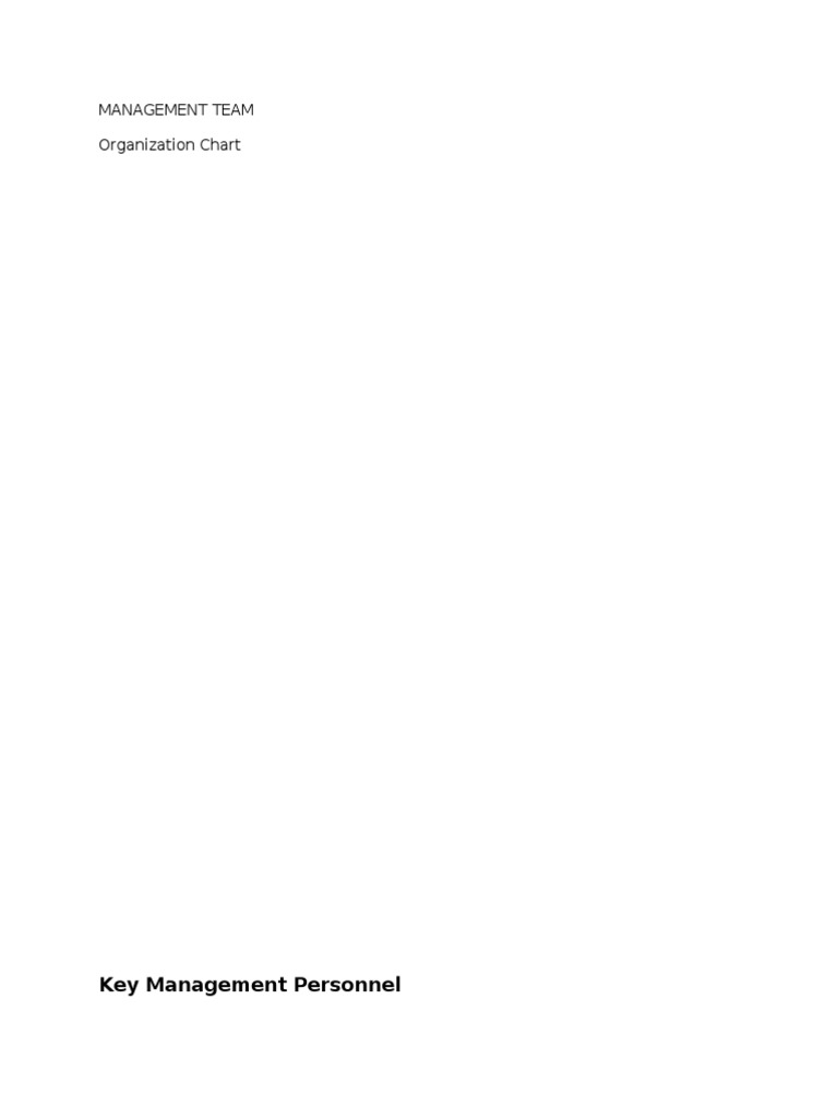 Management Team Organization Chart | PDF | Computing | Microsoft