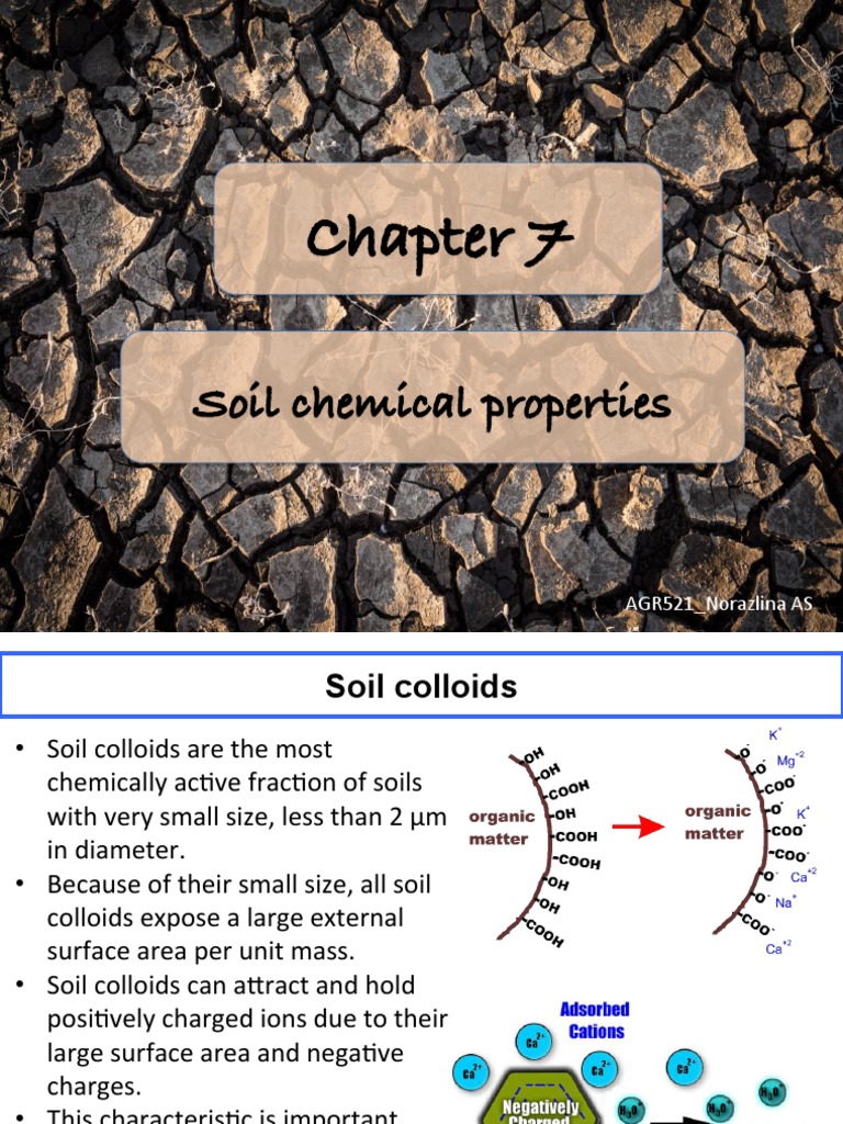 Chapter 7 Soil Chemical Properties PDF | PDF | Mole (Unit) | Soil