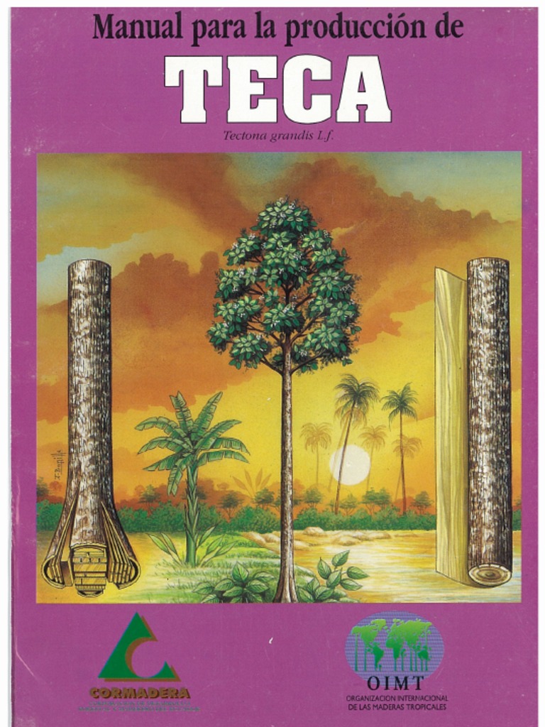 Manual de Produccion de Teca | PDF | Los bosques | Siembra