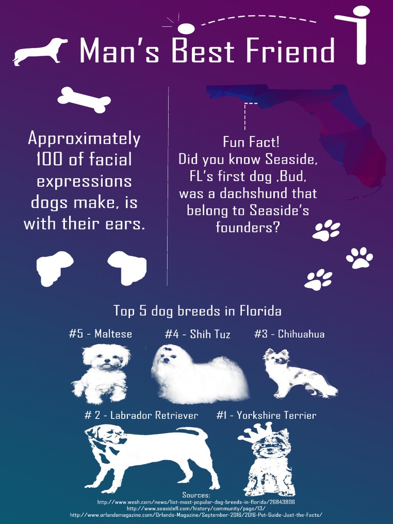 Man's Best Friend | PDF