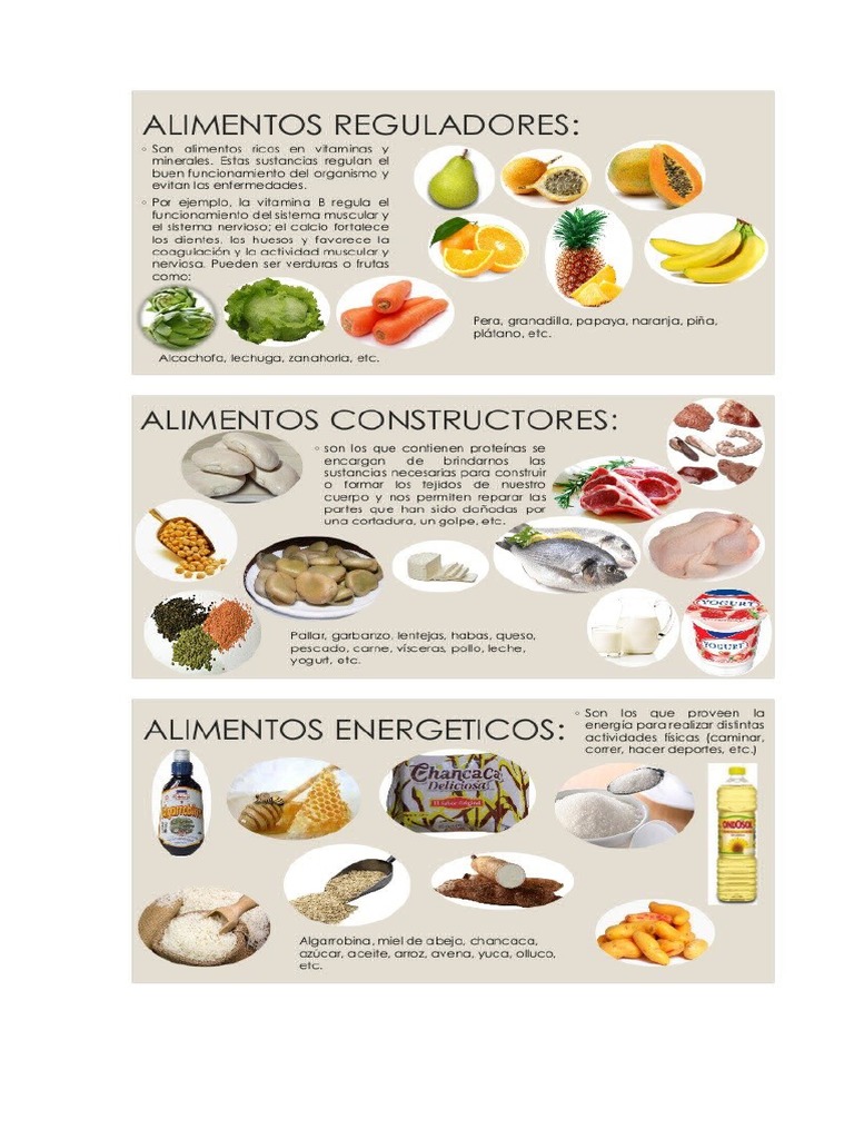 Alimentos Constructores, Energéticos y Reguladores | PDF