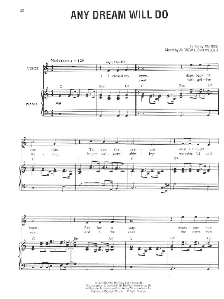 Any Dream Will Do PDF | PDF