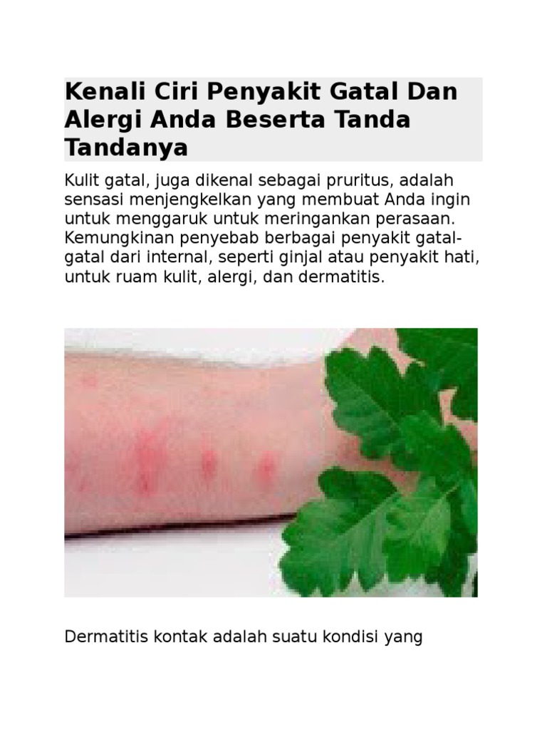 Kenali Ciri Penyakit Gatal Dan Alergi Anda Beserta Tanda Tandanya | PDF