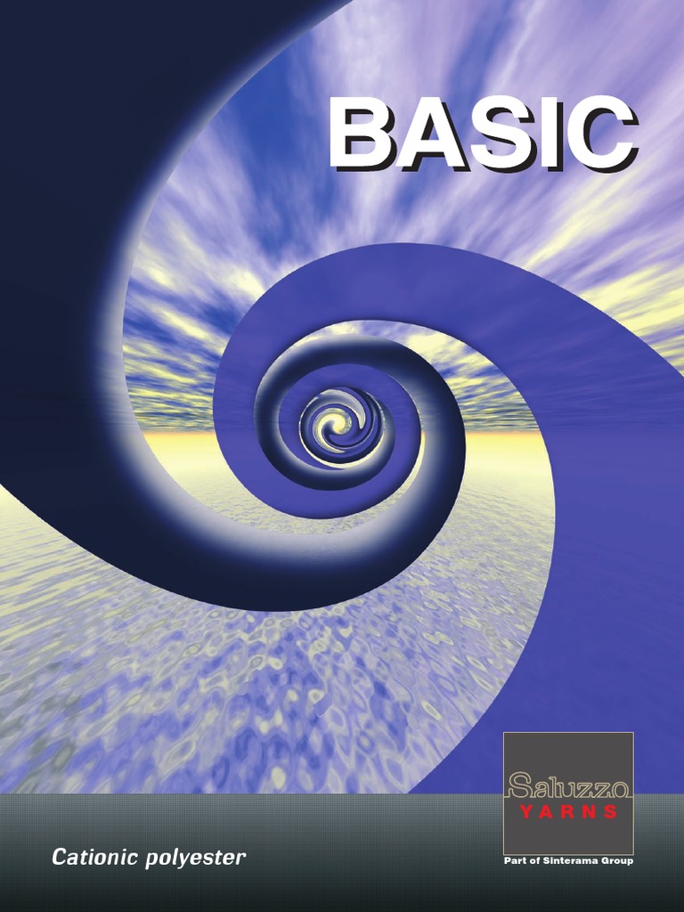 BasicSaluzzoEN Esec | PDF