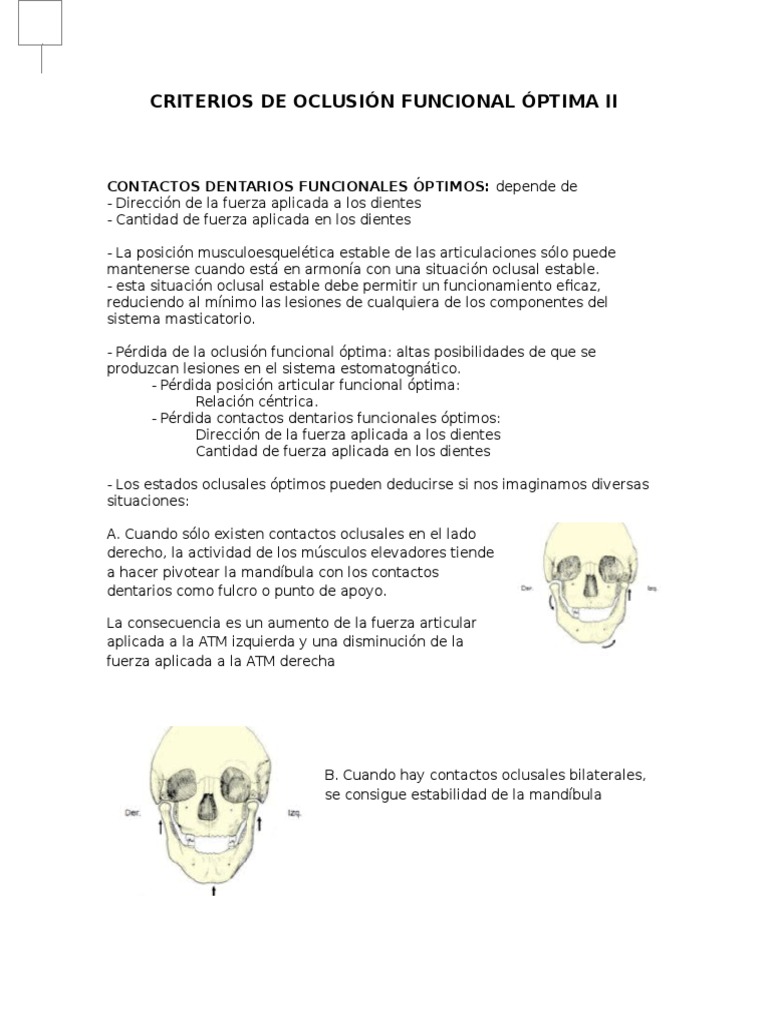 8 Criterios de Oclusión Funcional Óptima Ii | PDF | Palanca | Diente