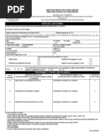 STPS - Formato DC-4 | PDF