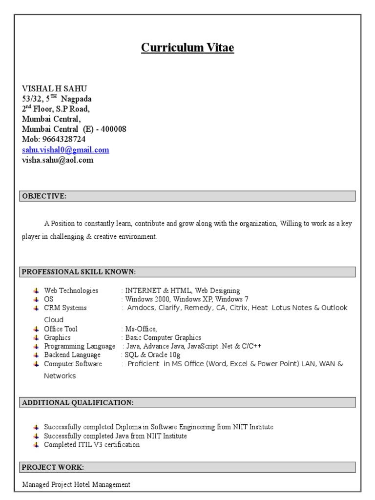 Curriculum Vitae of Vishal H Sahu Detailing Over a Decade of Experience ...
