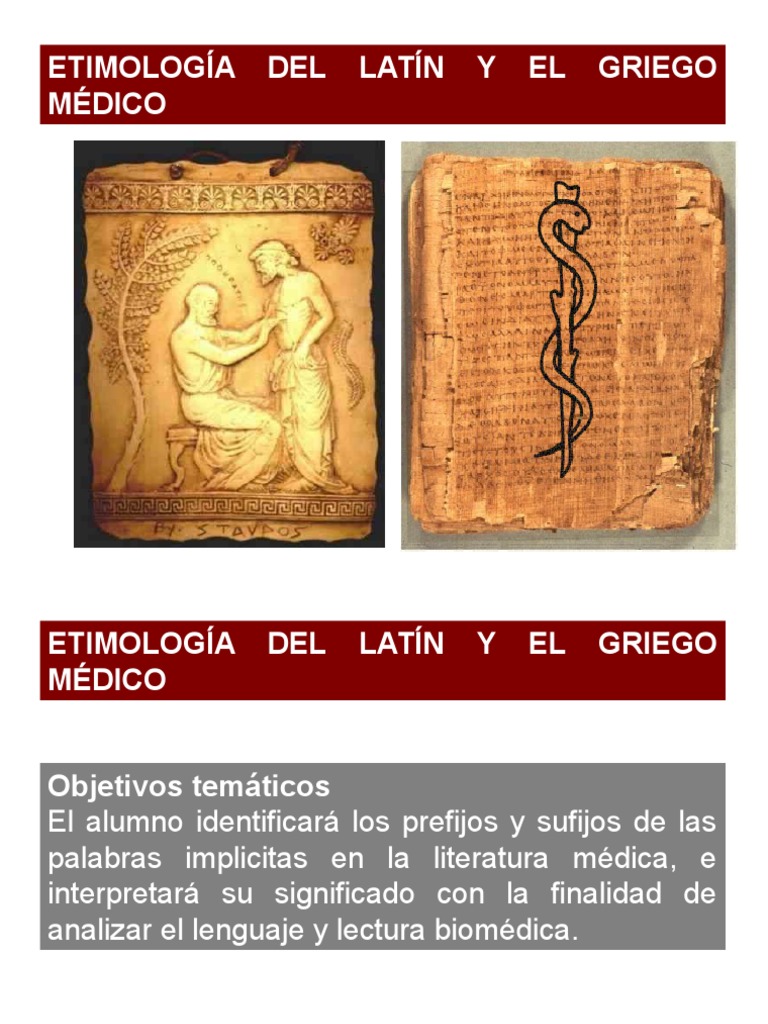 Etimologia Médica | PDF | latín | Palabra