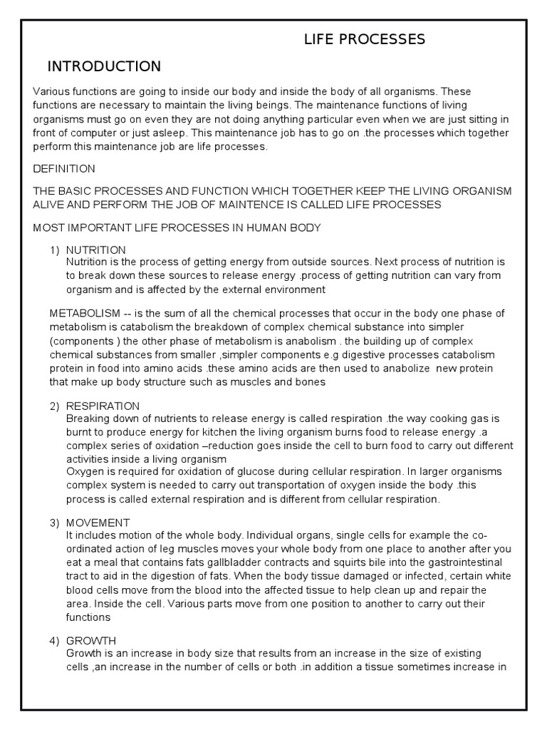 Life Processes | PDF | Homeostasis | Human Body