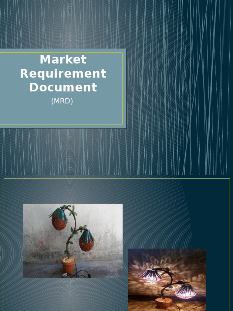 Market Requirement Document | PDF | Advertising | Product (Business)