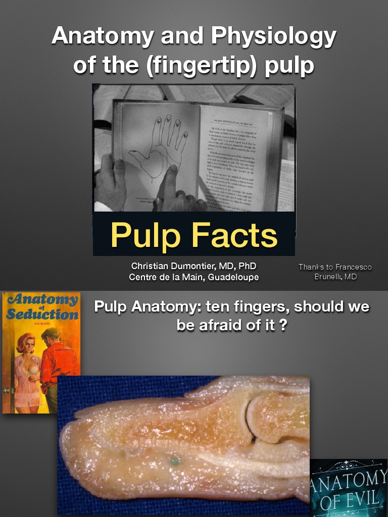 Fingertip Pulp Anatomy & Physiology | PDF | Somatosensory System | Nature