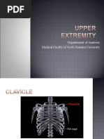 Kinesiology Flashcards, 3E - Lippert, Lynn S., Minor, Mary Alice ...