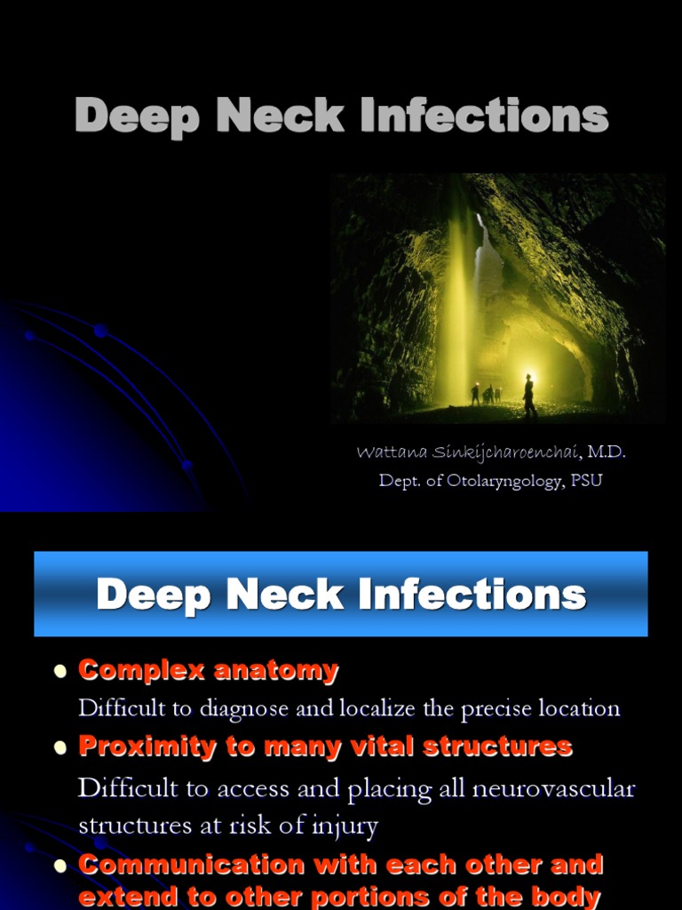 ENT - Deep Neck Infections (นศพ.ปี4) 2014 | PDF | Neck | Common Carotid ...