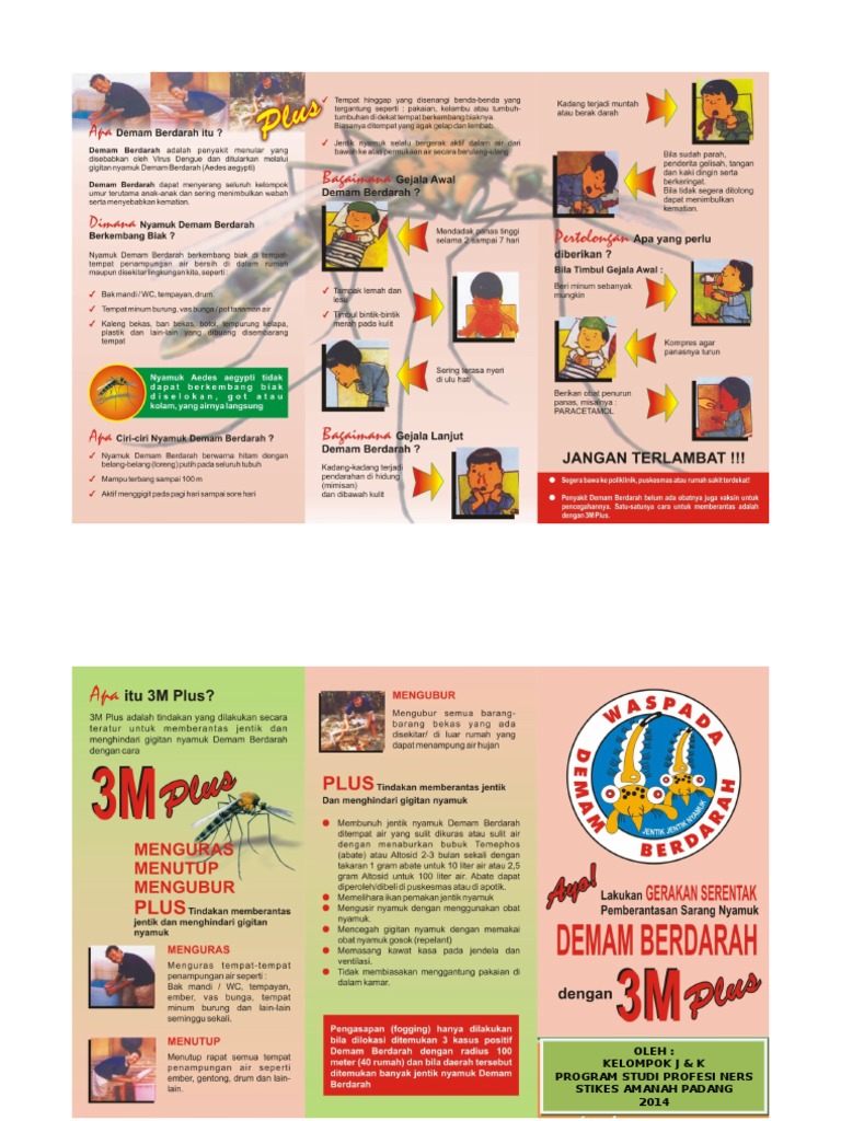 Leaflet DBD | PDF