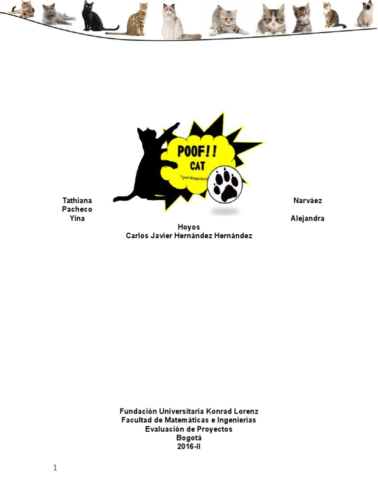 Proyecto Poof Cat | PDF | Investigación de mercado | Mercado (economía)
