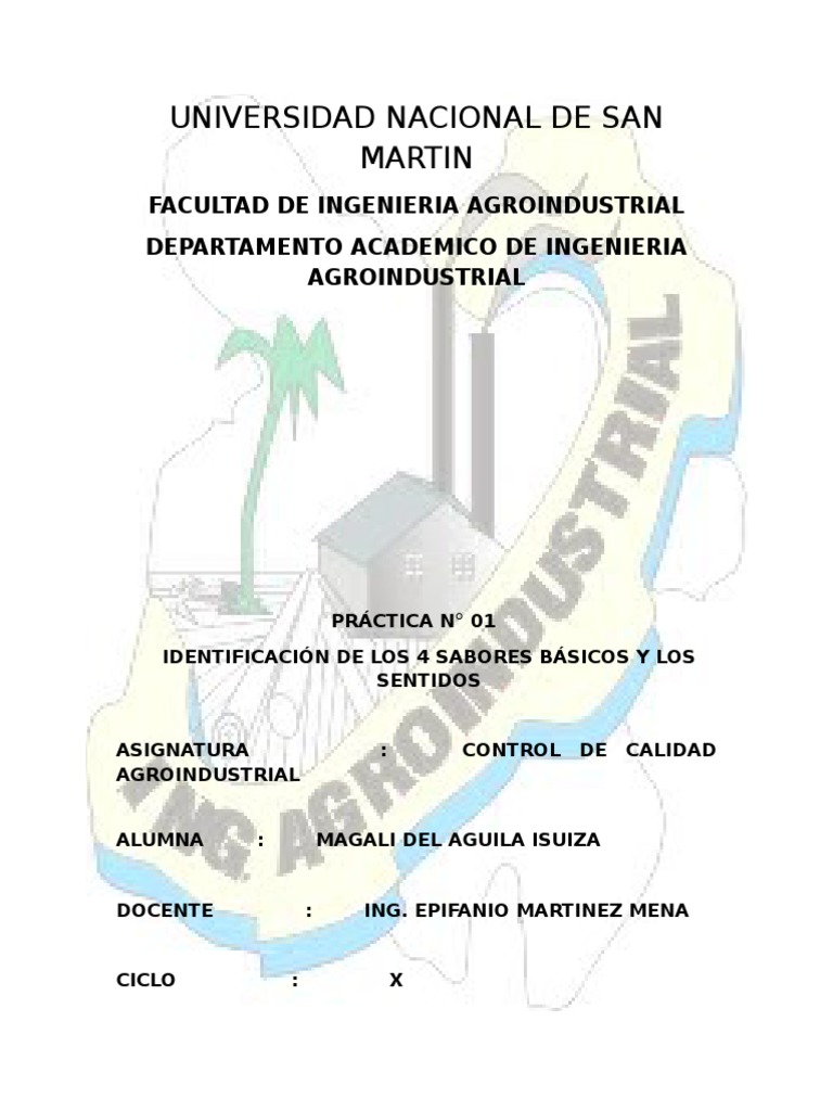 Identificación de Los 4 Sabores Básicos y Los Sentidos | Gusto | Sabor