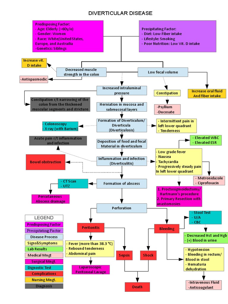 Diverticulitis Pathophysiology Overview | PDF | Wellness | Science ...