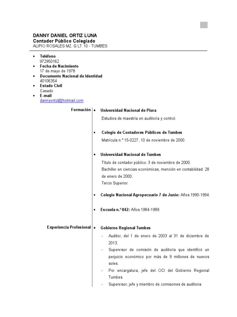 Curriculum DANNY | PDF | Contador | Contabilidad