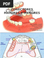 Líneas de Terminación | PDF | Dentadura postiza | Diente