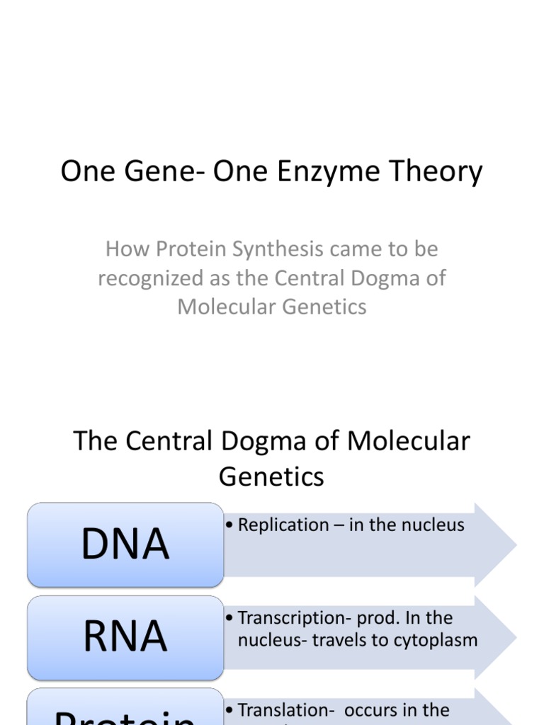 One Gene- One Enzyme Theory 2016 EHSS | Genetic Code | Gene