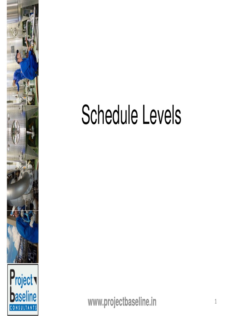 Schedule Levels | PDF | Project Management | Systems Engineering