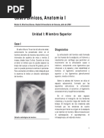 Extensor Comun de Los Dedos | PDF | Mano | Sistema musculoesquelético