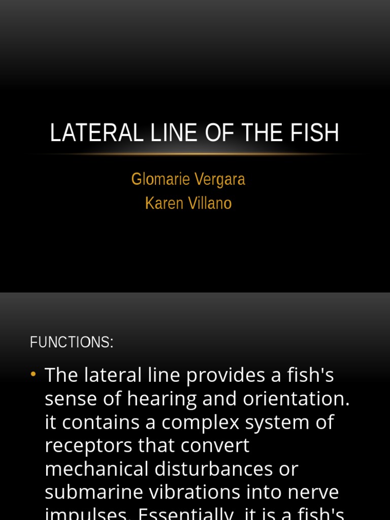 The Role of the Lateral Line System in Providing Sensory Input and ...