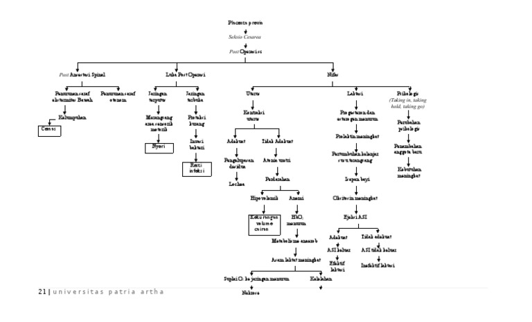 Acc Pathway (Plasenta Previa) | PDF