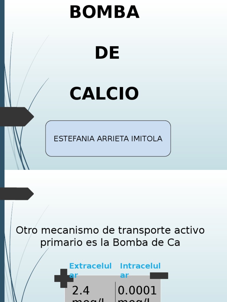 Función y Mecanismo de la Bomba de Calcio | PDF | Ciencia y matemáticas