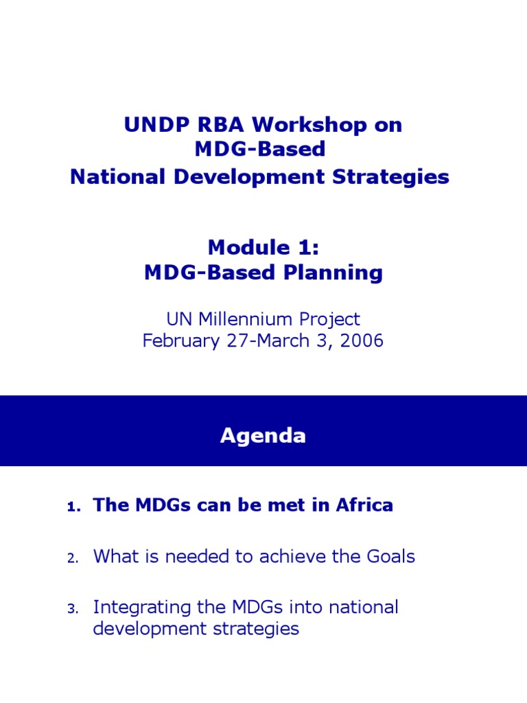 MDG Planning | PDF | Millennium Development Goals | International ...