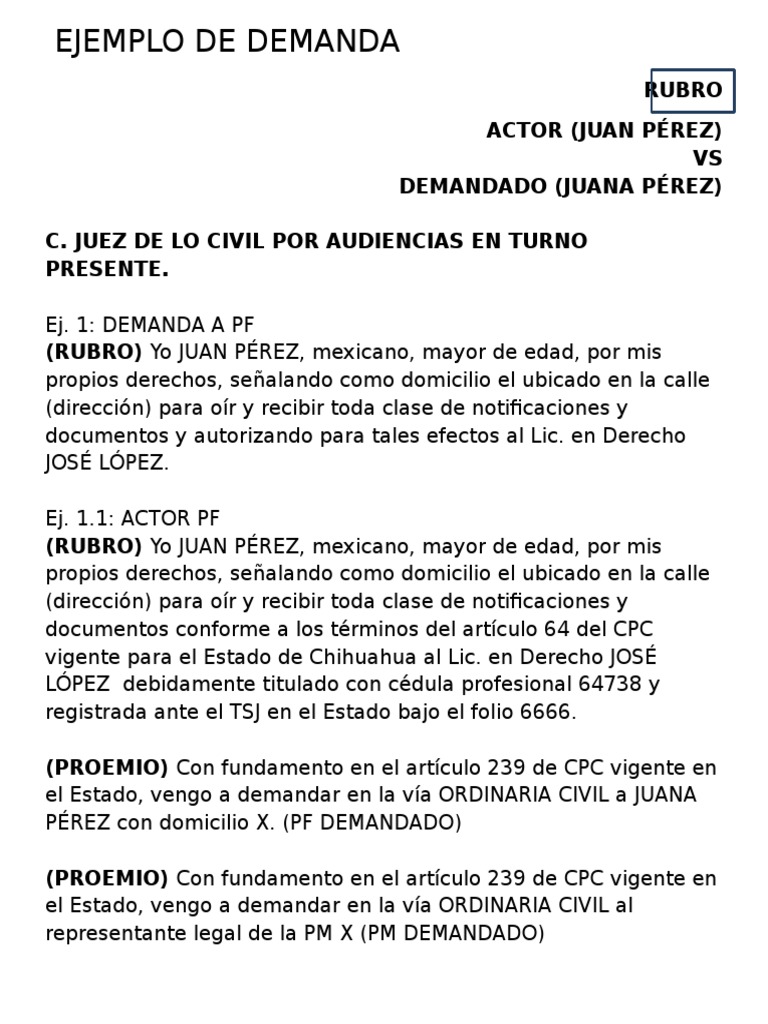 Ejemplo de Demanda | PDF | Información del gobierno | Instituciones sociales