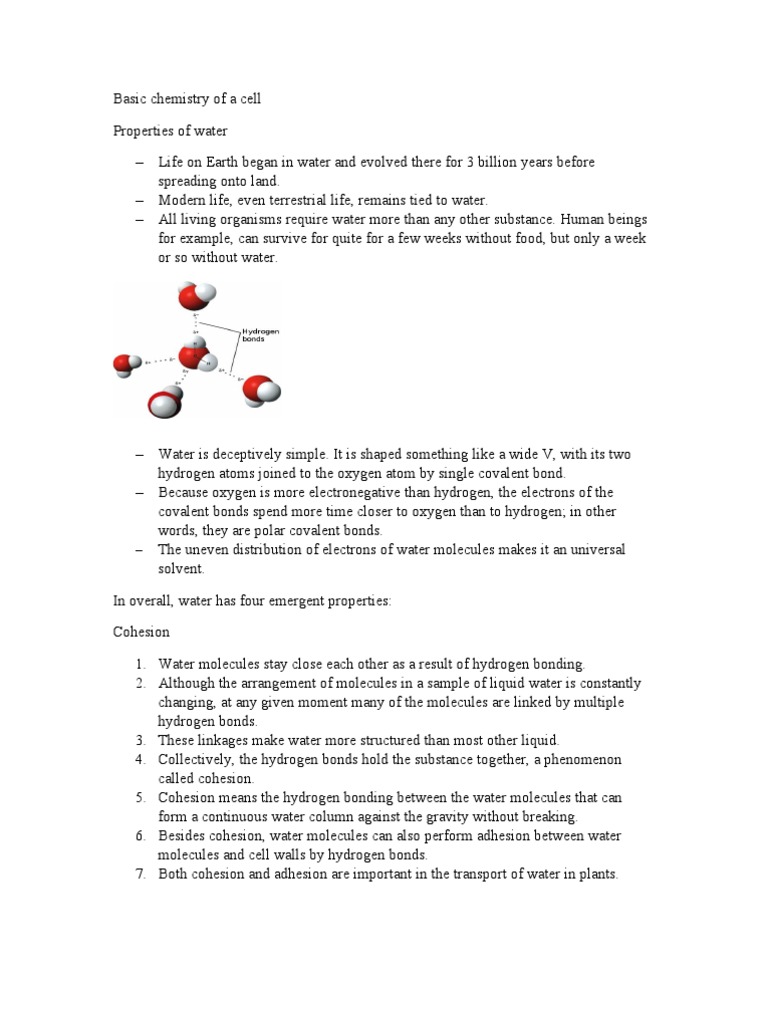 STPM BIOLOGY Basic Chemistry of A Cell | PDF | Rna | Nucleic Acids
