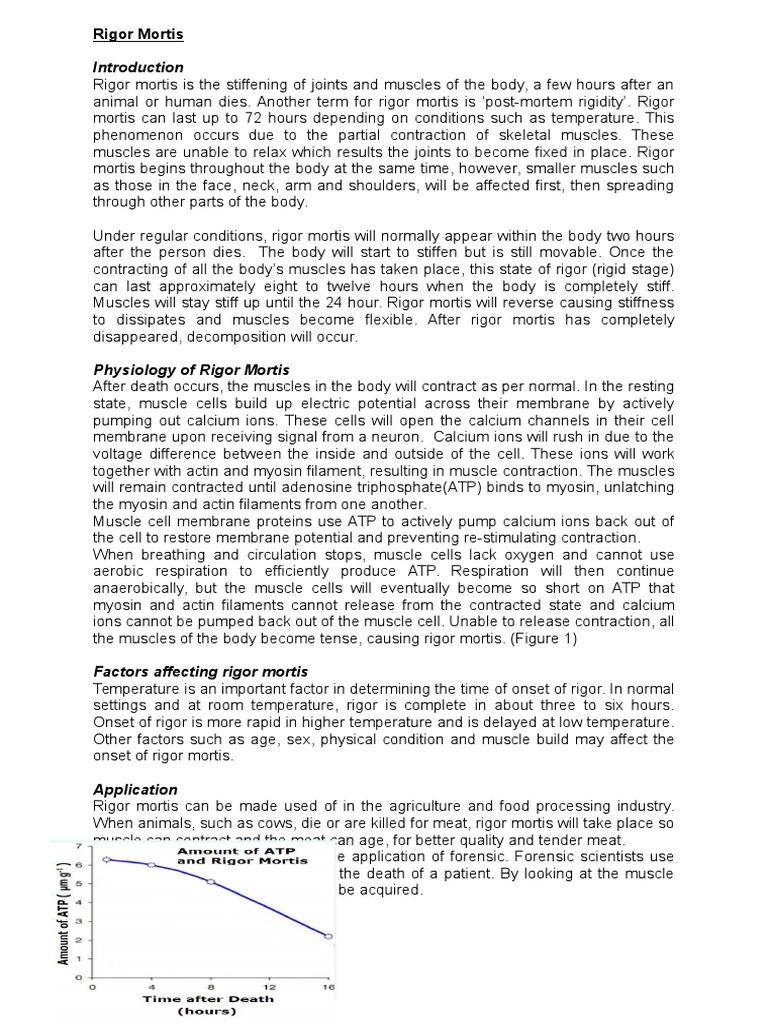 Rigor Mortis | PDF | Muscle Contraction | Muscle