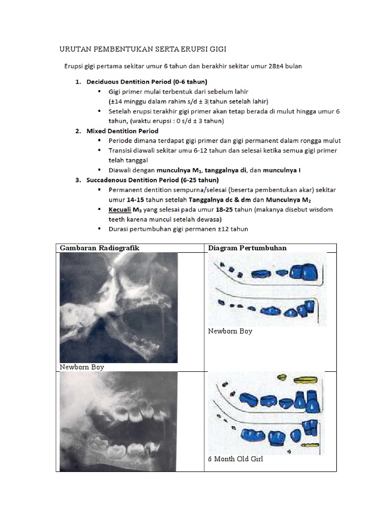 Radiografi Erupsi Gigi | PDF