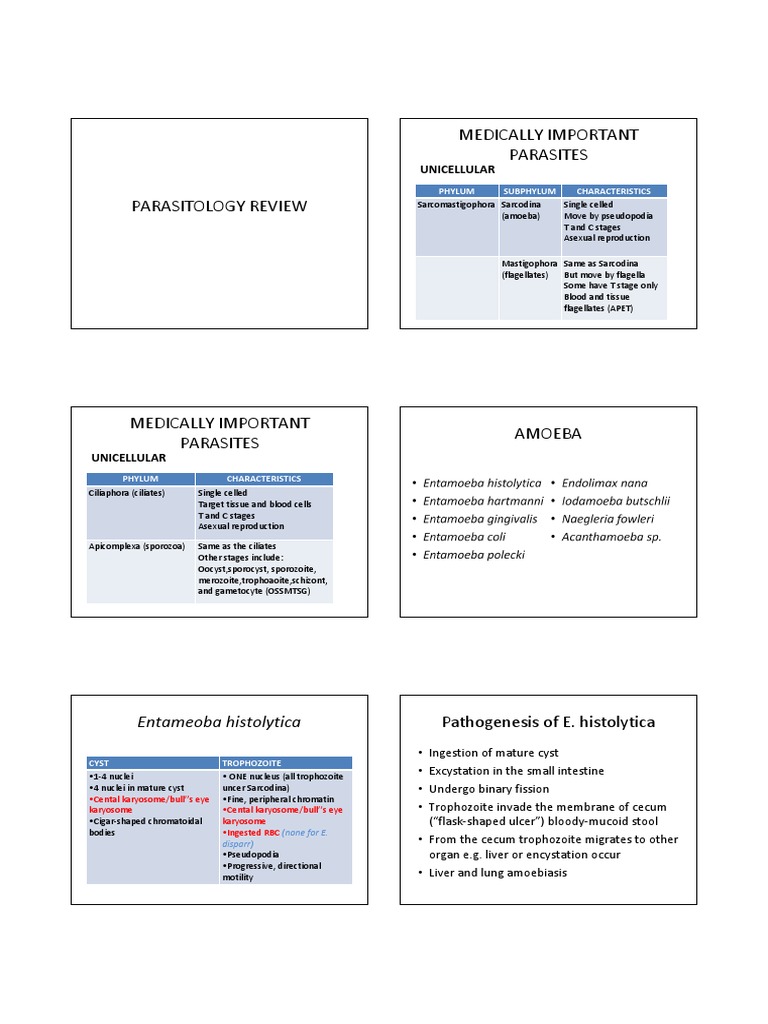 Parasitology Review Lecture Source | PDF | Plasmodium | Malaria