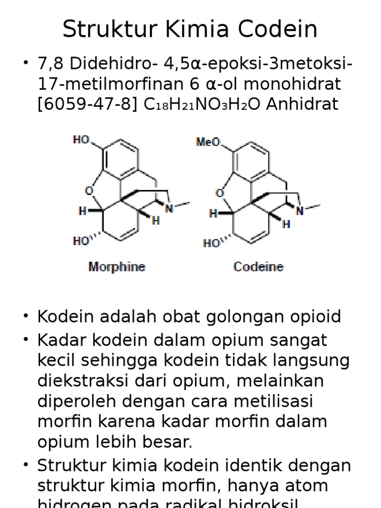 Struktur Kimia Codein | PDF