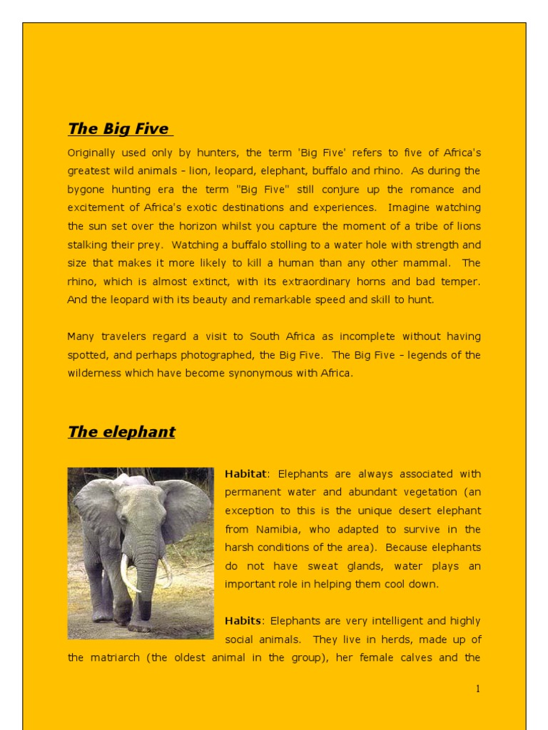 The Big Five | PDF | Lion | Leopard