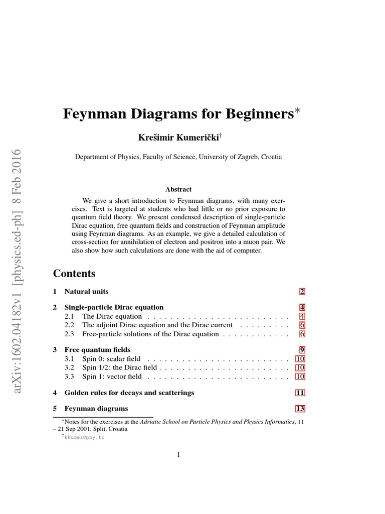 Feynman Diagram For Beginner PDF | PDF | Wave Function | Field (Physics)