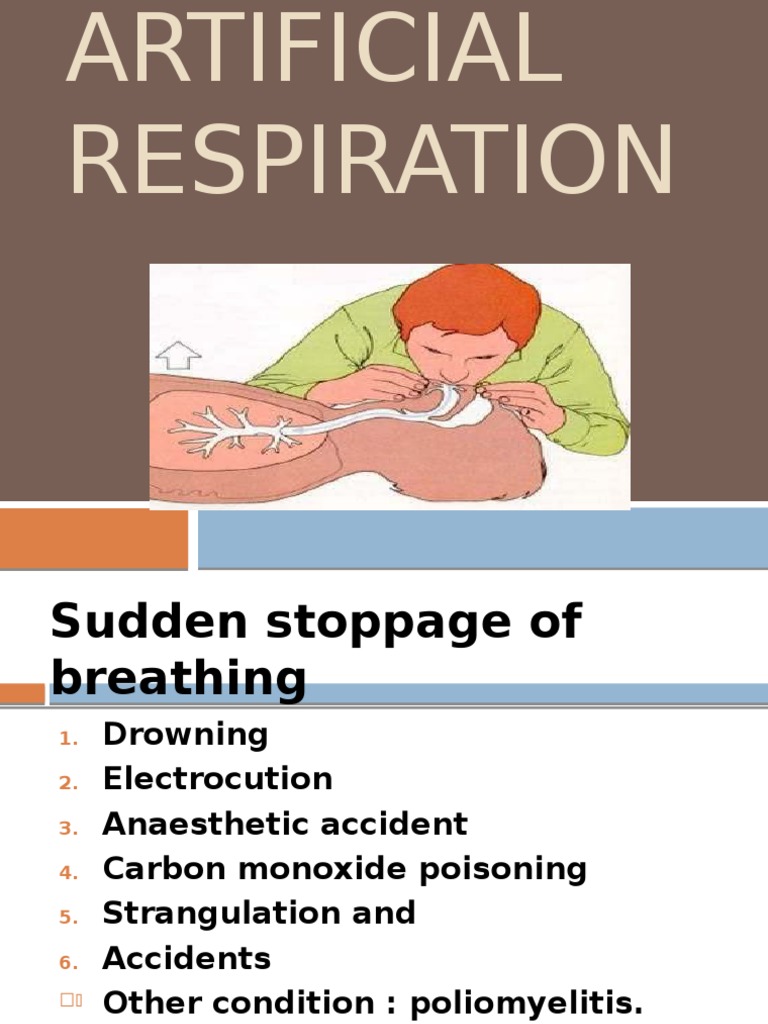 Methods of Artificial Respiration | PDF | Respiratory System | Lung