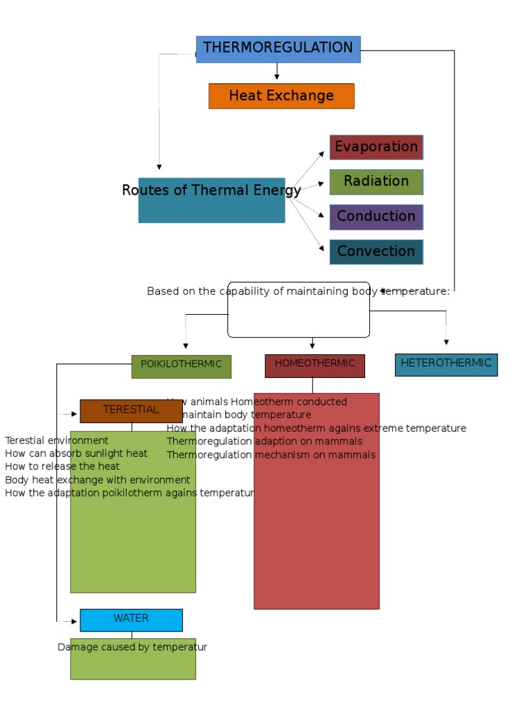 Understanding Thermoregulation Mechanisms | PDF | Science & Mathematics