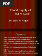 External Vs Internal Jugular Vein | PDF | Vein | Human Anatomy
